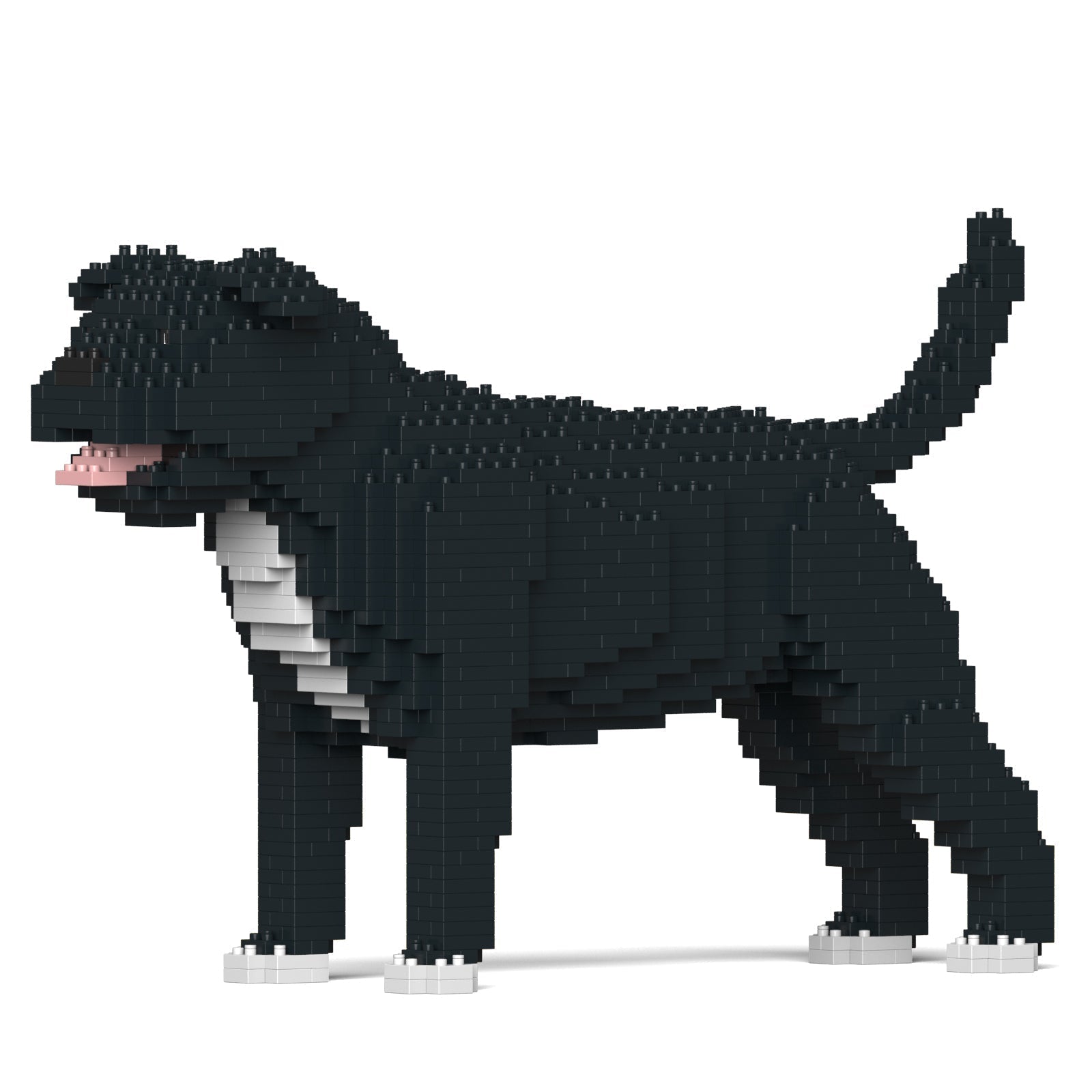 Staffordshire Bull Terrier 01-M02 - JEKCA Building Blocks for Kidults ...